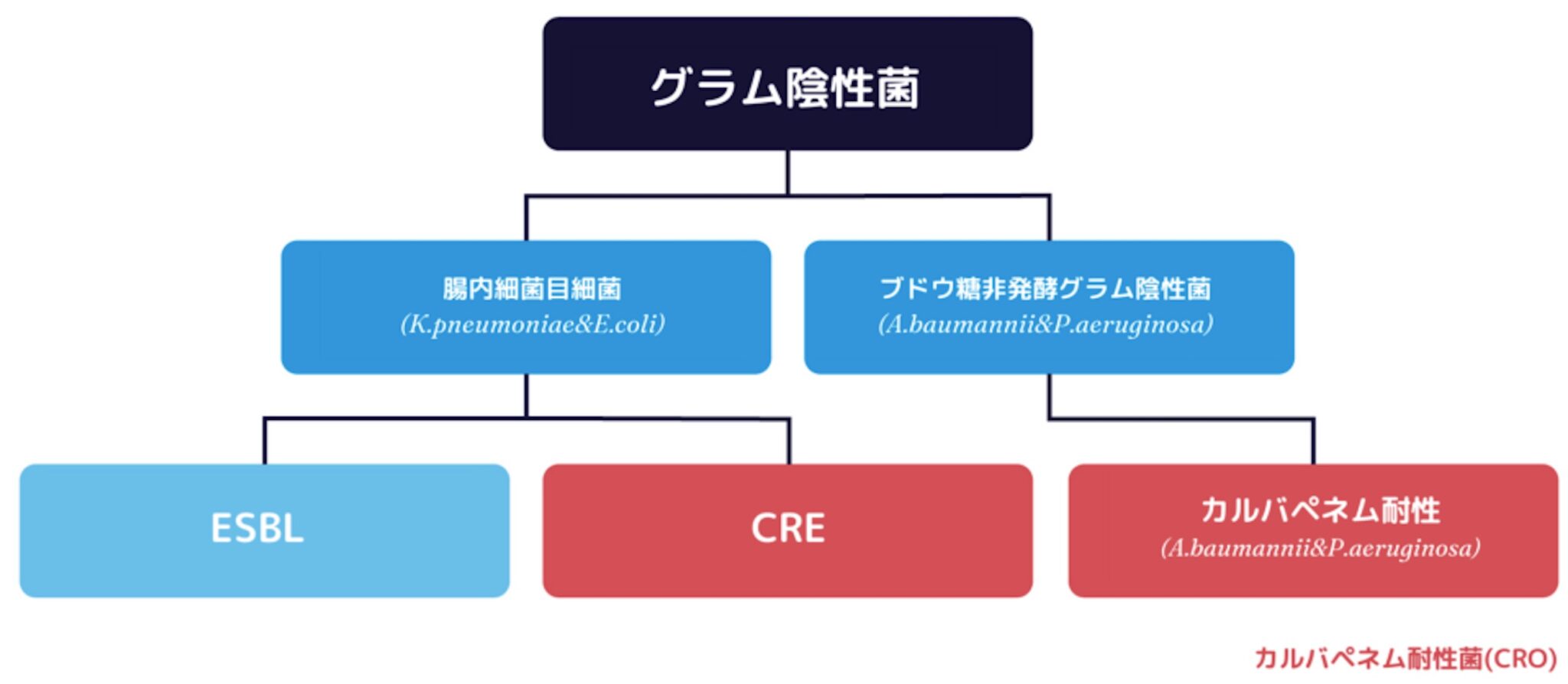 アップデート:ESBL、CPE、その他の薬剤耐性グラム陰性菌に関する報告 | Journal | 株式会社モレーンコーポレーション